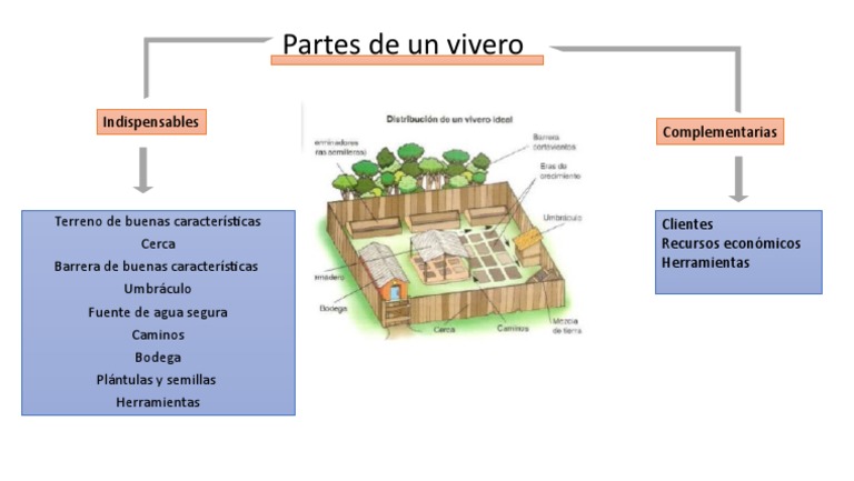 Partes de Un Vivero | PDF