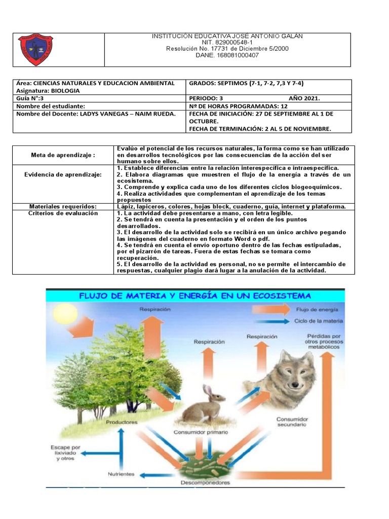 Interacciones en Ecosistemas y Seres Vivos | PDF | Red alimentaria ...