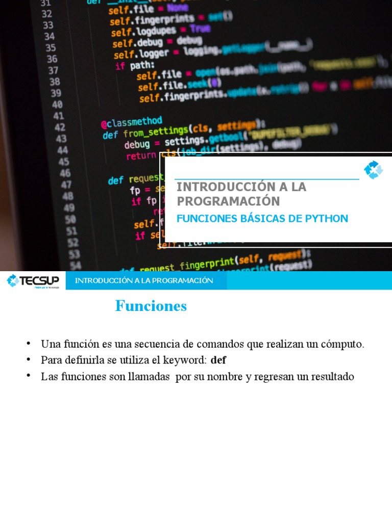 10 - Funciones Básicas de Python | PDF