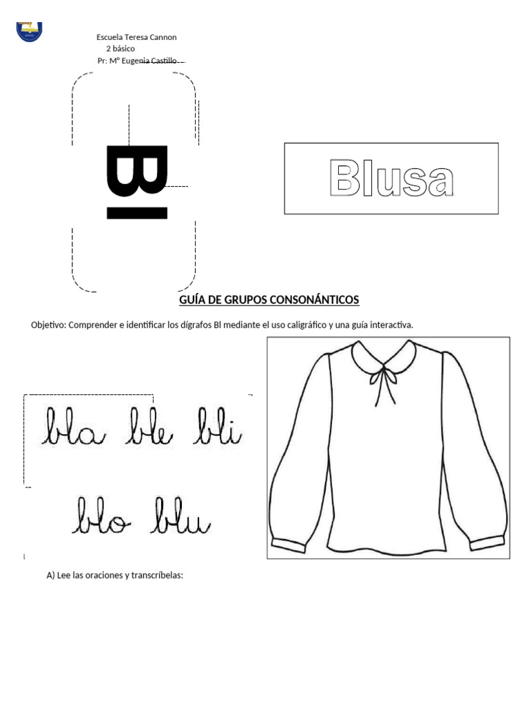 Guía BL-BR | PDF