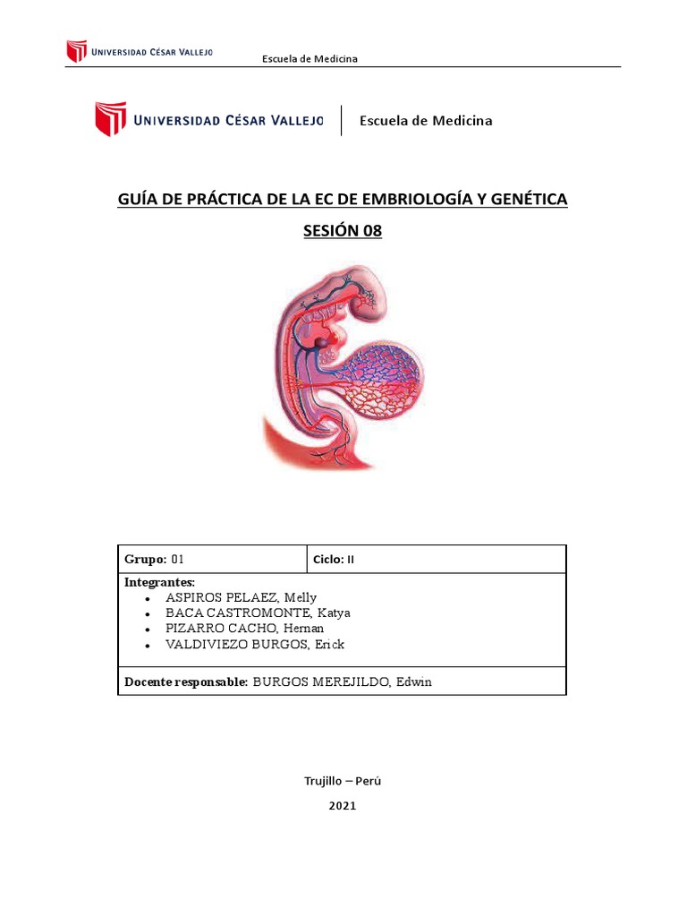 GUÍA PRACT EMBRIO - 8va Sesión | PDF | Corazón | Sistema circulatorio