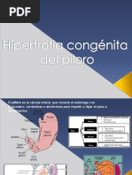 Material de Lectura Operación de Hartmann y Operación de Miles | PDF ...