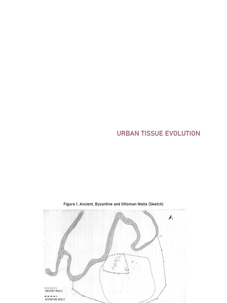 1 Urban Tissue Evolution | PDF