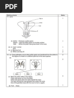 Labeled Flower Parts Worksheet | PDF | Flowers | Pollination