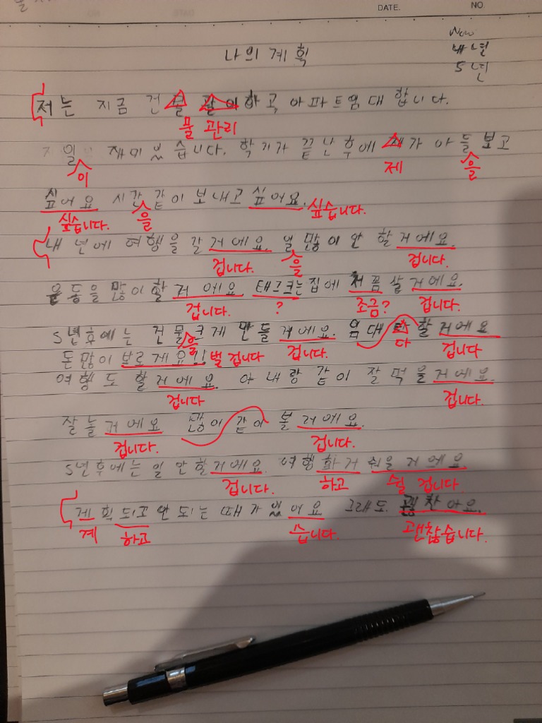 Korean Essay Level1 | PDF