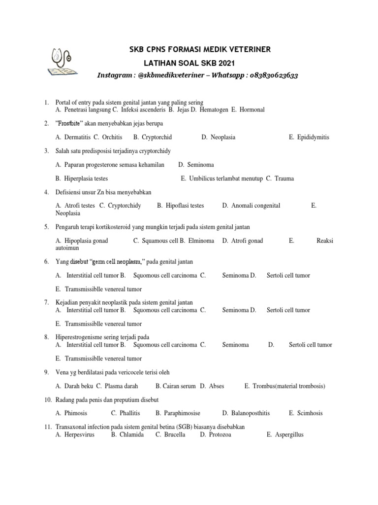 Latihan Soal SKB 2.17 | PDF