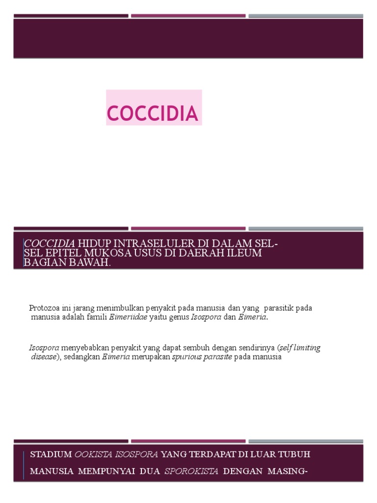Coccidia SHERLY | PDF