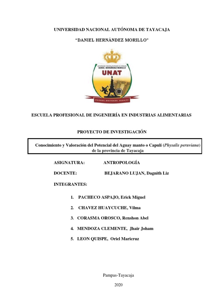 Proyecto de Investigacion | PDF