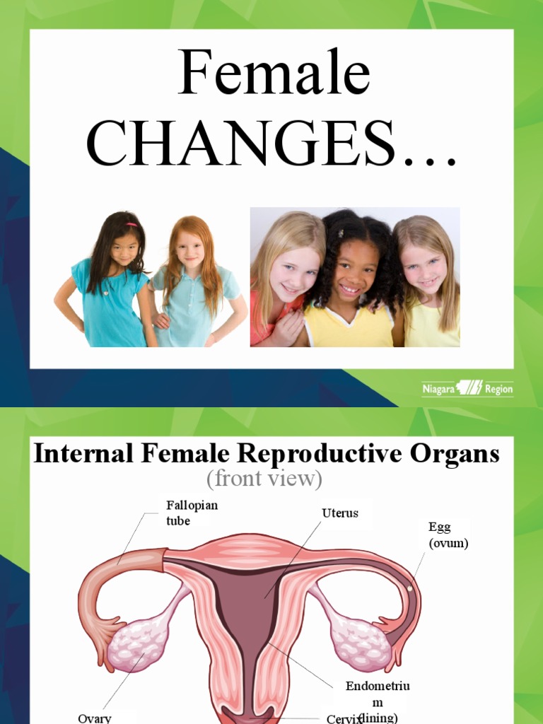 Gr6 Puberty Class Two Presentation | PDF