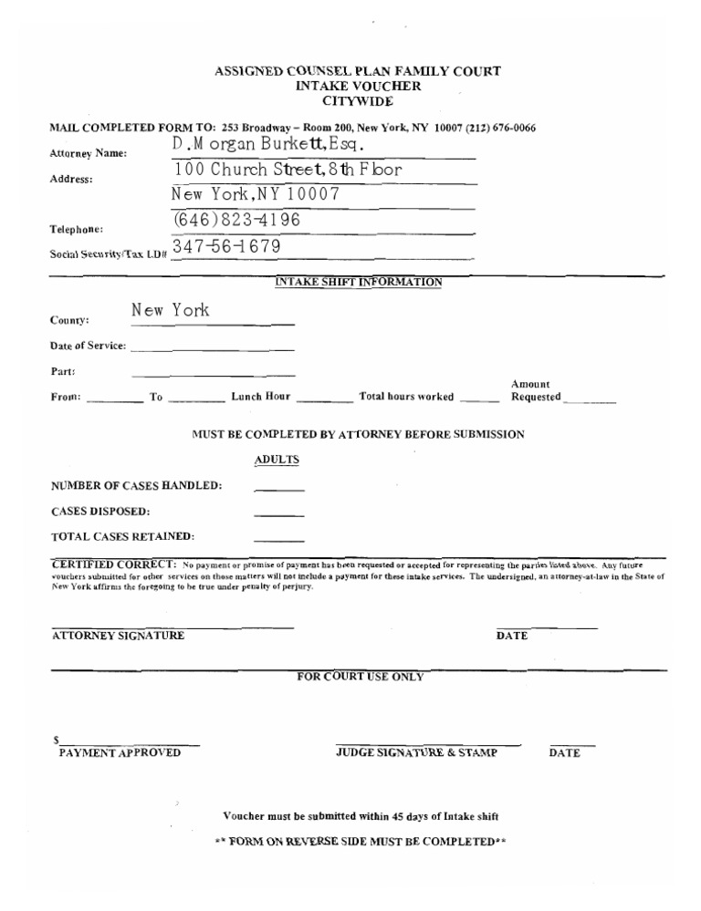 City Intake Voucher | PDF | Art