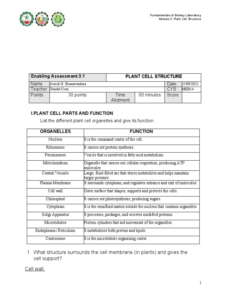 Enabling Assessment 3.1 Plant Cell Structure: Name Date Teacher CYS ...