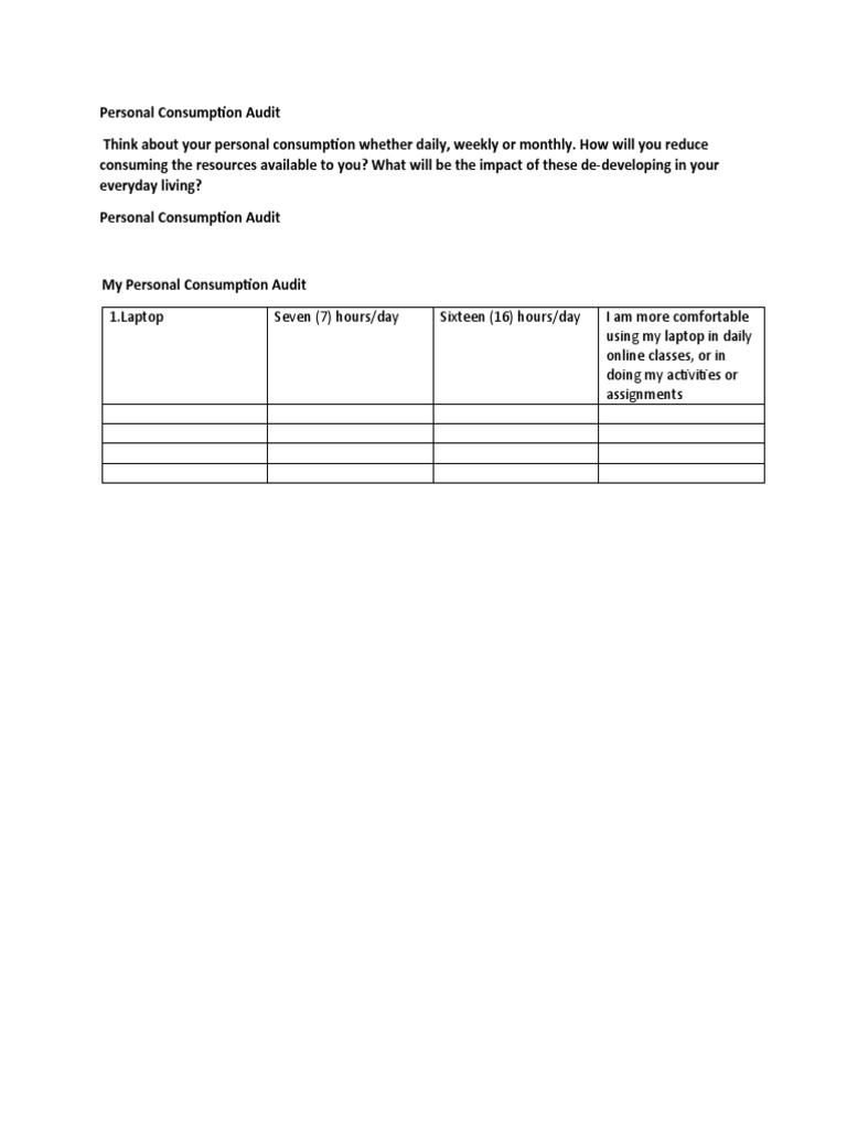 Personal Consumption Audit | PDF