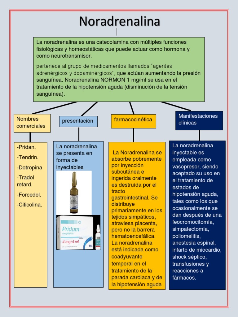 Noradrenalina Mapa | PDF | Norepinefrina | Enfermedades y trastornos