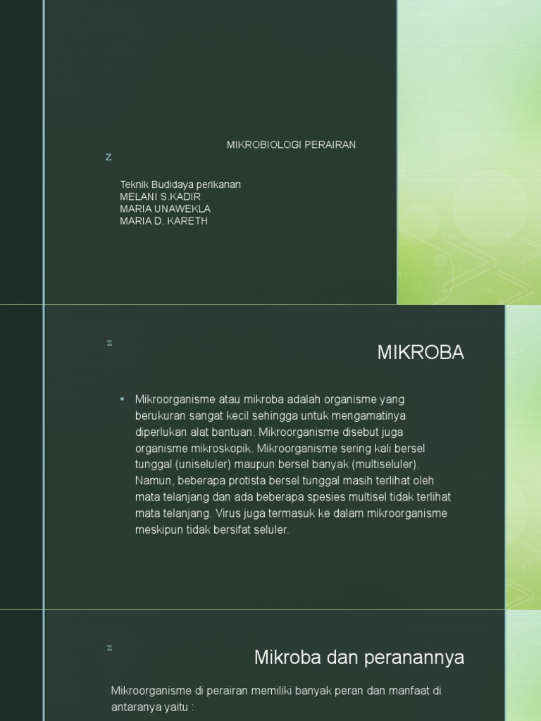 Tugas Mikrobiologi 2 | PDF