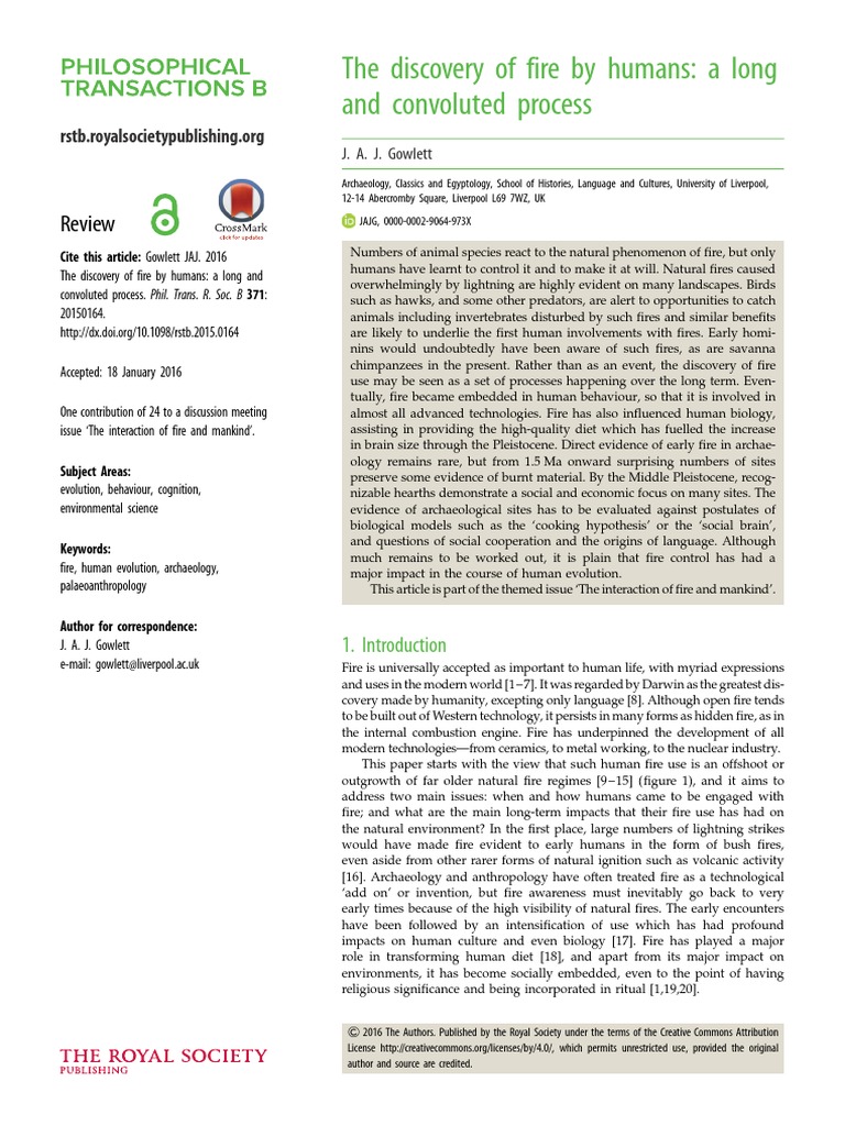 Human Evolution and Fire Discovery | PDF | Ape | Human