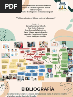 Signo de Homans | PDF | Anatomía del miembro inferior | Extremidades ...