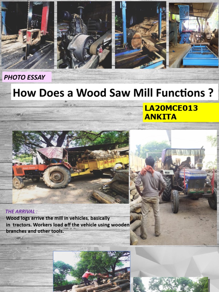 How A Wood Saw Mill Operates Pdf