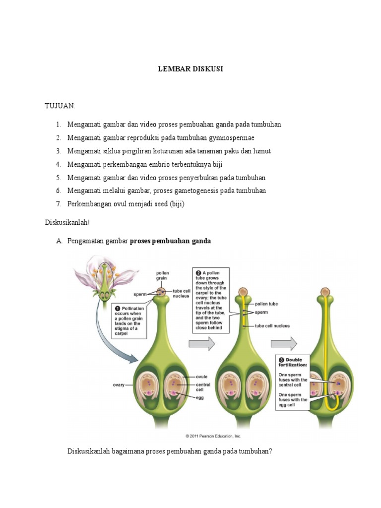 Proses Pembuahan Ganda pada Tumbuhan | PDF | Sains & Matematika