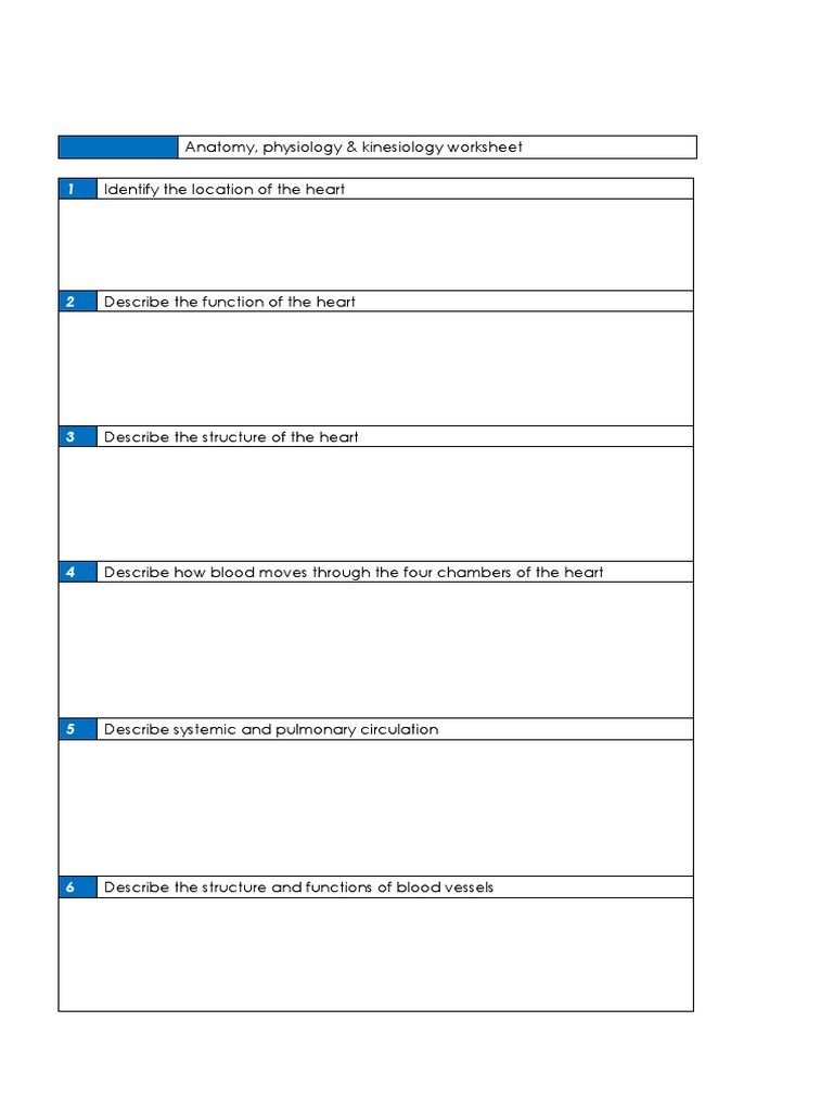 Anatomy, Physiology Kinesiology Worksheet | PDF | Anatomical Terms Of ...