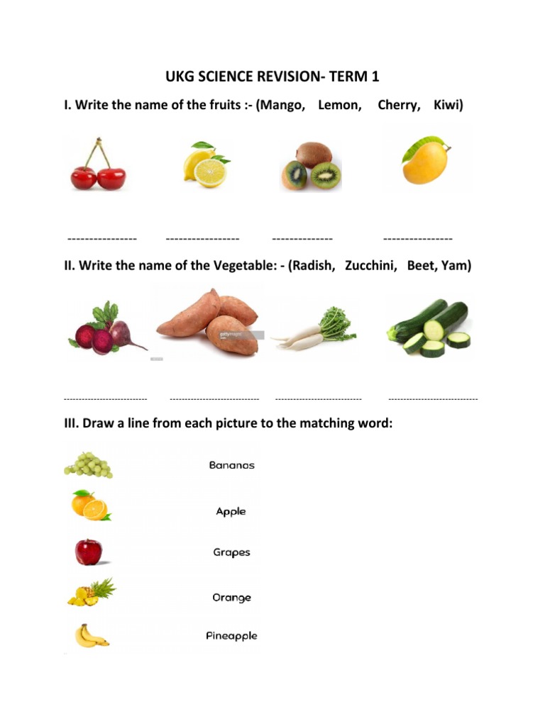 UKG Science Revision Worksheet Term 1 | PDF