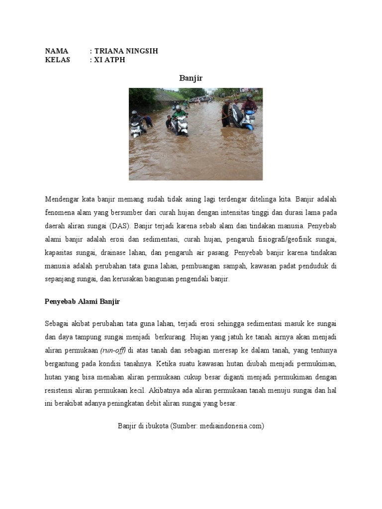 Banjir | PDF