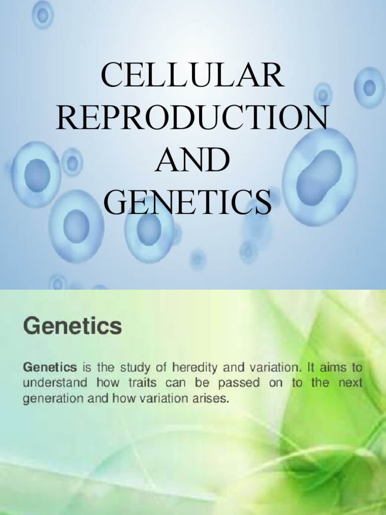 Cellular Reproduction AND Genetics | PDF | Meiosis | Mitosis