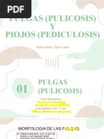 PULICOSIS | PDF