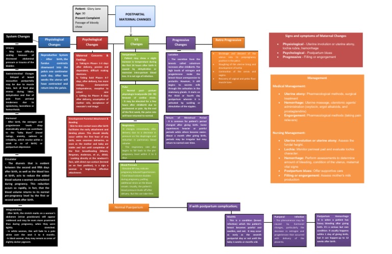 Concept Map. Gonzaga | PDF | Childbirth | Postpartum Period