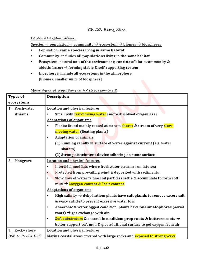 Dse Bio ch20 Ecosystem Notes | PDF | Soil | Ecosystem