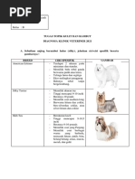 Anatomi Fungsional Organ Reproduksi Sapi Betina | PDF