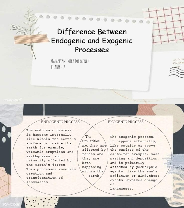 Venn Diagram Exo vs. Endo | PDF