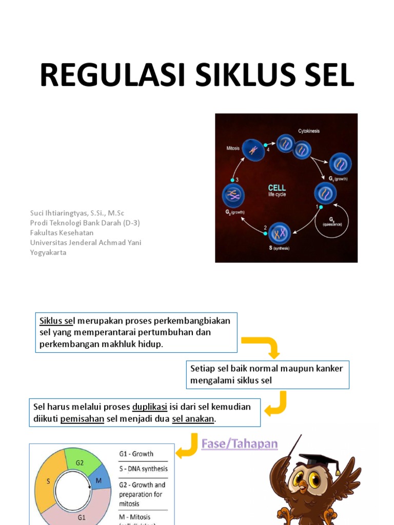 Regulasi Siklus Sel | PDF