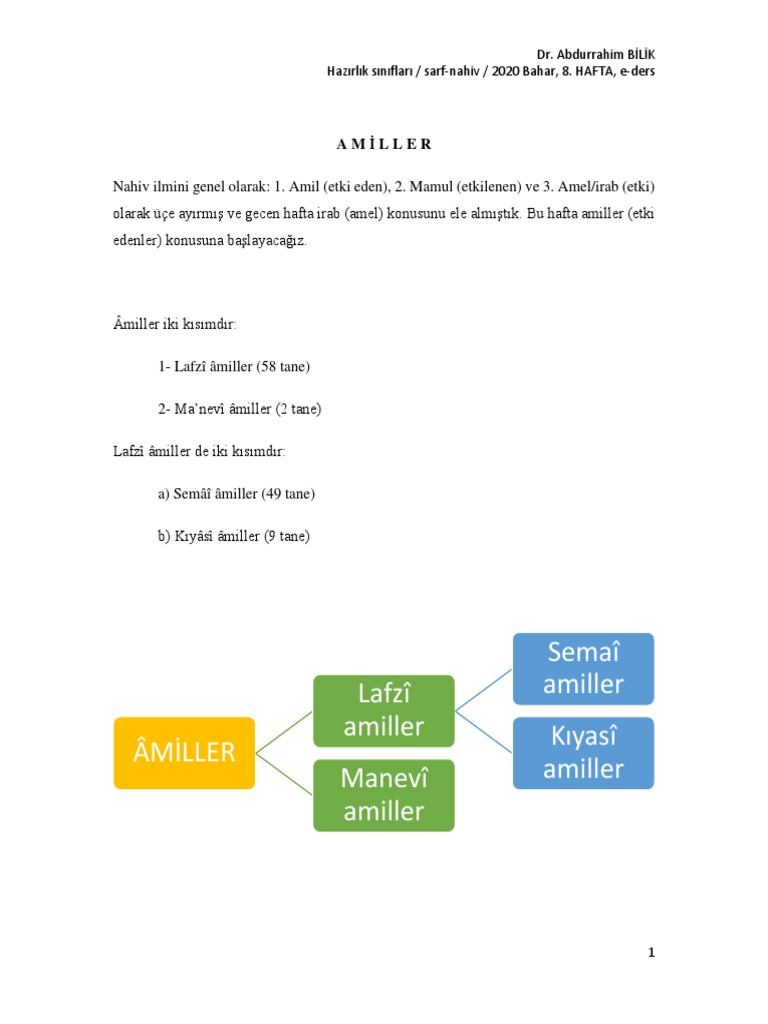 E Ders 8 Hafta Amiller Giriş | PDF