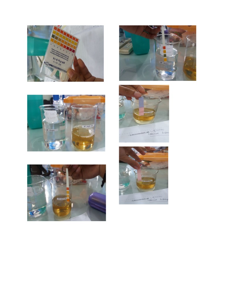 Lampiran Gambar Pengukuran PH | PDF