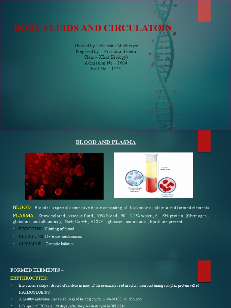 Body Fluids and Circulatoin | PDF | Circulatory System | Heart