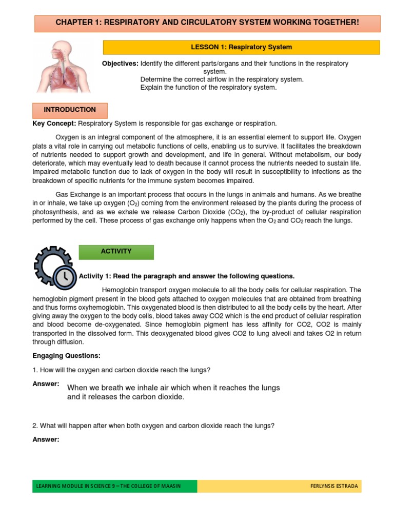 Chapter 1: Respiratory and Circulatory System Working Together! | PDF ...