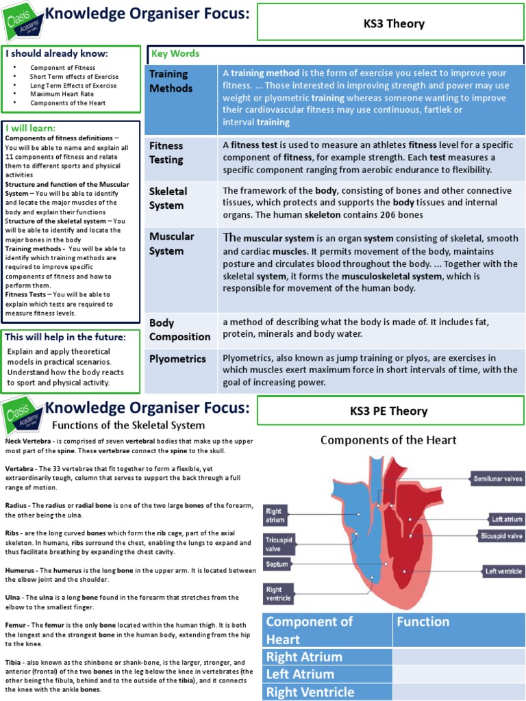 PE Theory Knowledge Organiser | PDF | Physical Fitness | Skeleton