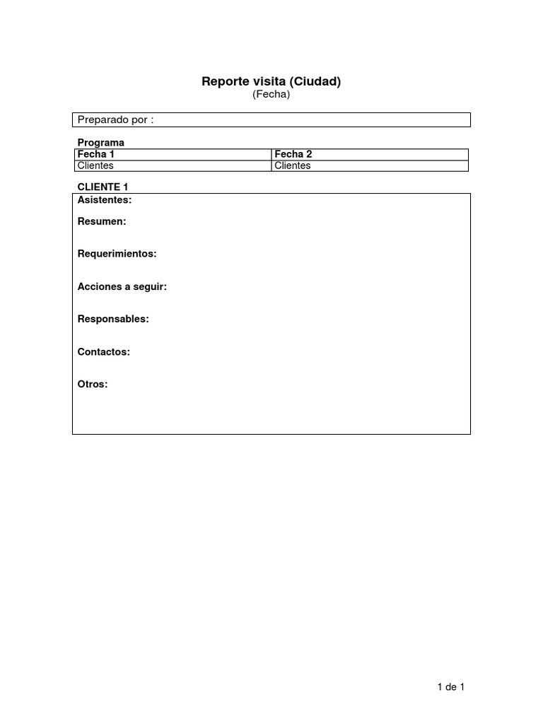Reporte Visita Clientes | PDF