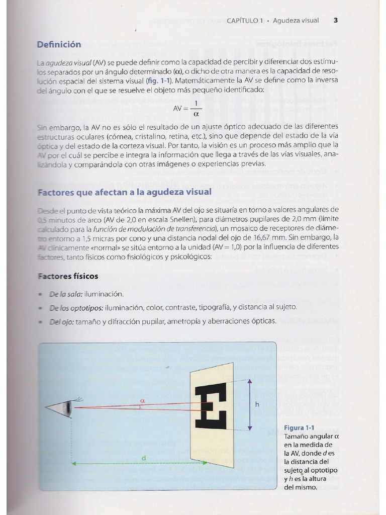 Capítulo 01 - Agudeza Visual | PDF