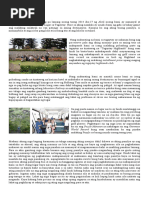 Climate Change Simpleng Pananaliksik Tagalog | PDF