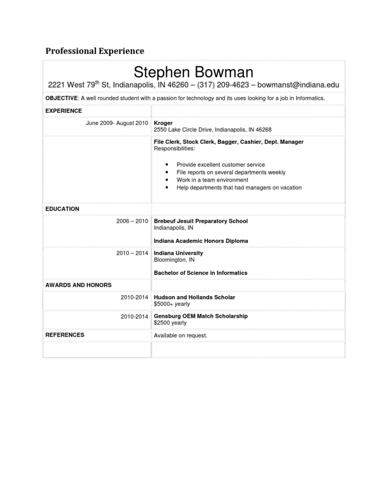Stephen Bowman's Informatics Resume | PDF