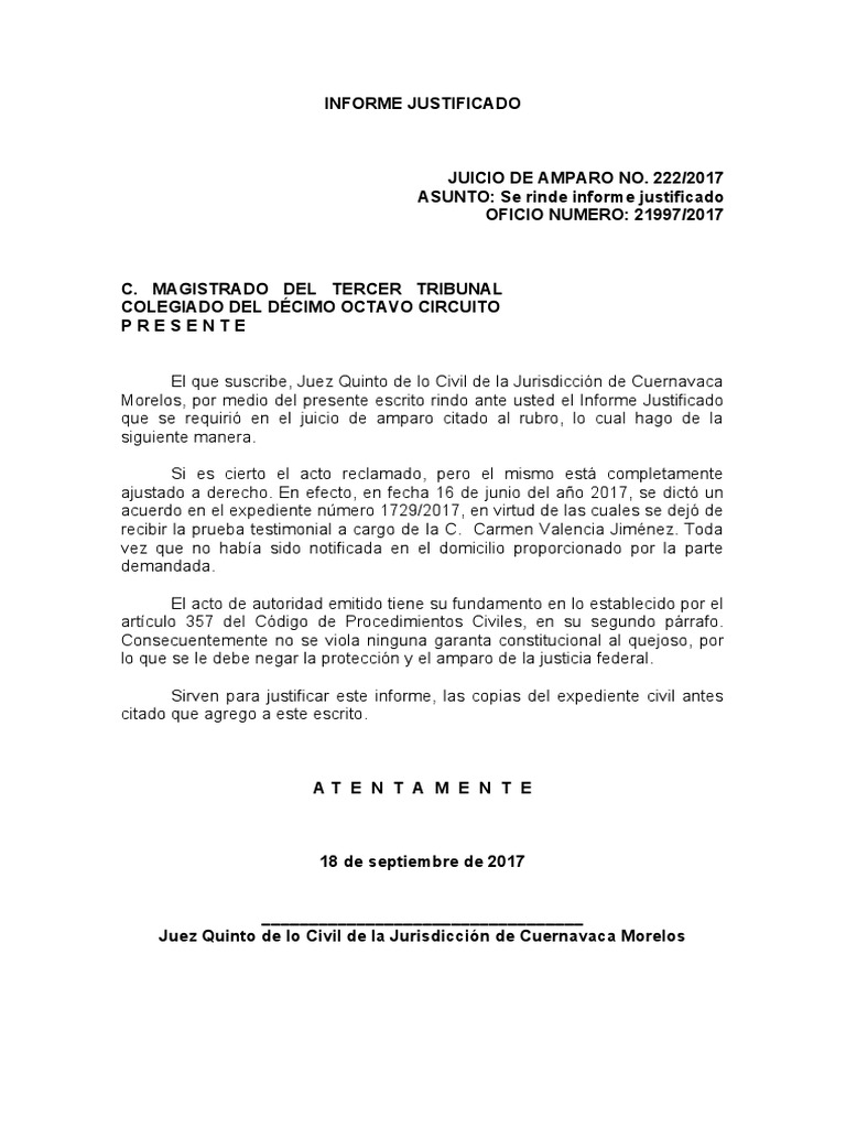 Informe Justificado | PDF