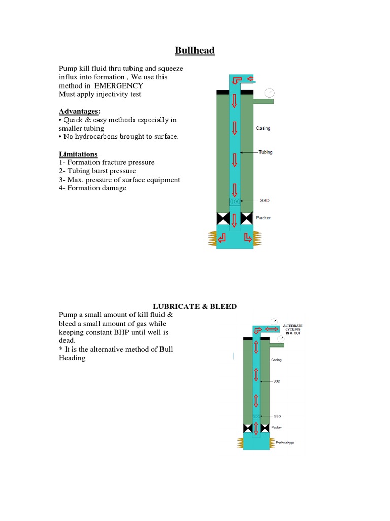 Well Intervention Kill Methods | PDF