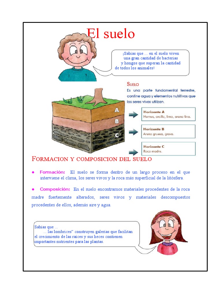 Formación y Composición del Suelo | PDF | Ciencia y matemáticas