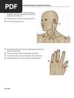 EMRA SportsMedicine Splint Guide | PDF | Thumb | Hand