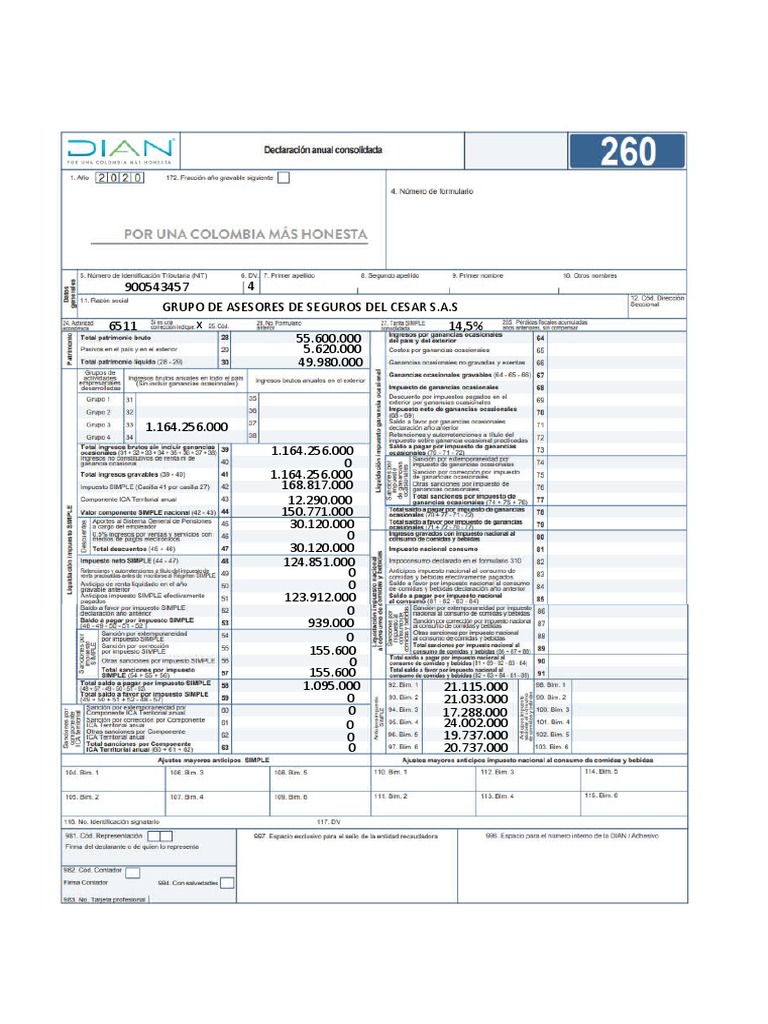 Formulario 260 Correccion de Declaracion | PDF