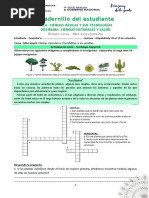 Adaptaciones de Las Plantas | PDF