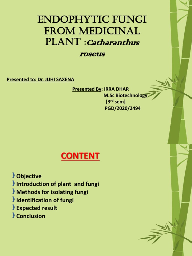 Endophytic Fungi | PDF | Polymerase Chain Reaction | Biology