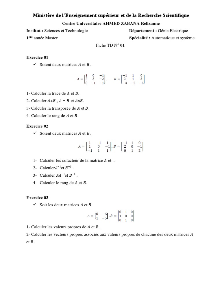 Fiche TD 1 - Calcul Matriciel | PDF