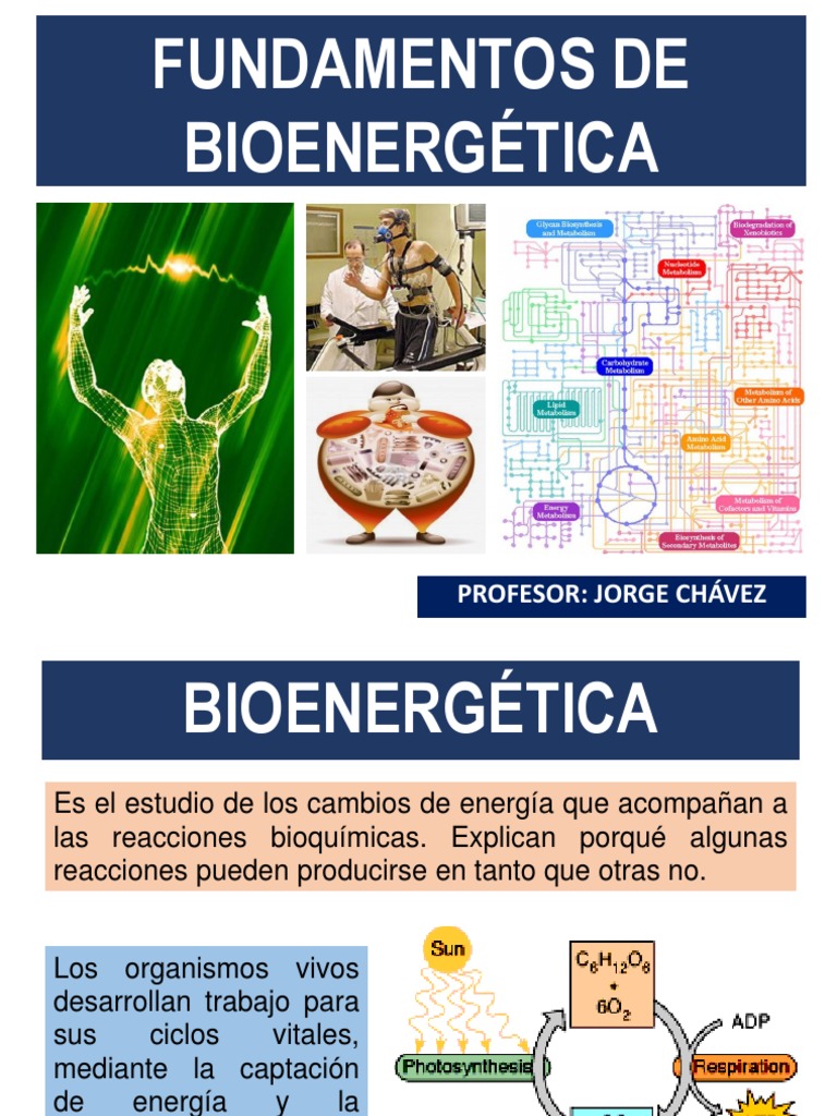 CLASE-TEMA 3-BIOENERGÉTICA (Primera Parte) | PDF | Metabolismo | Dieta ...